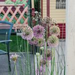 Warmley Waiting Room - Family Run Bristol Cafe